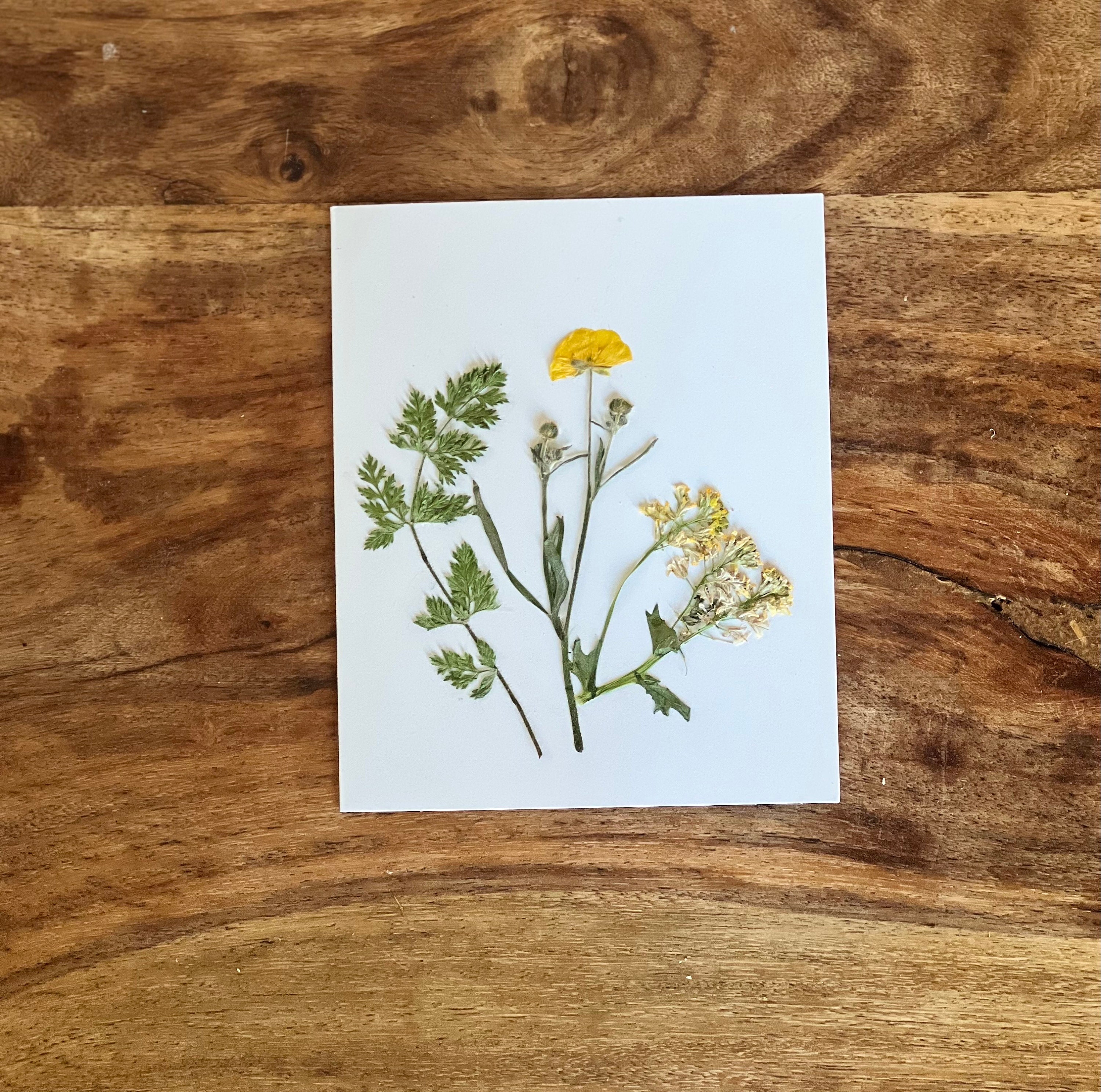 Pressed Flower Cards - Etsy