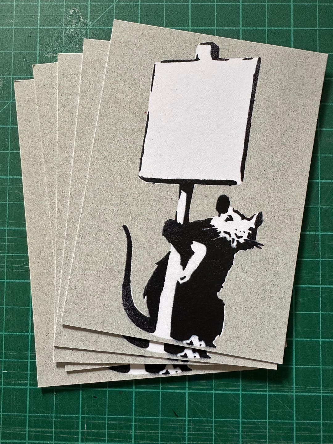 5 X Postcard - Blank Placard Rat - Etsy