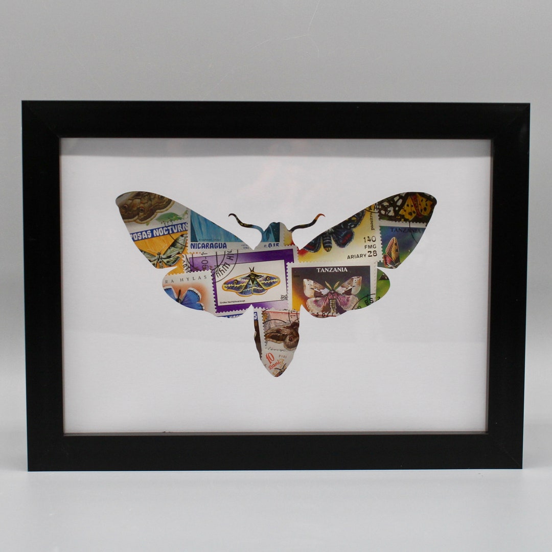 Moth With Stamps of Moth. - Etsy