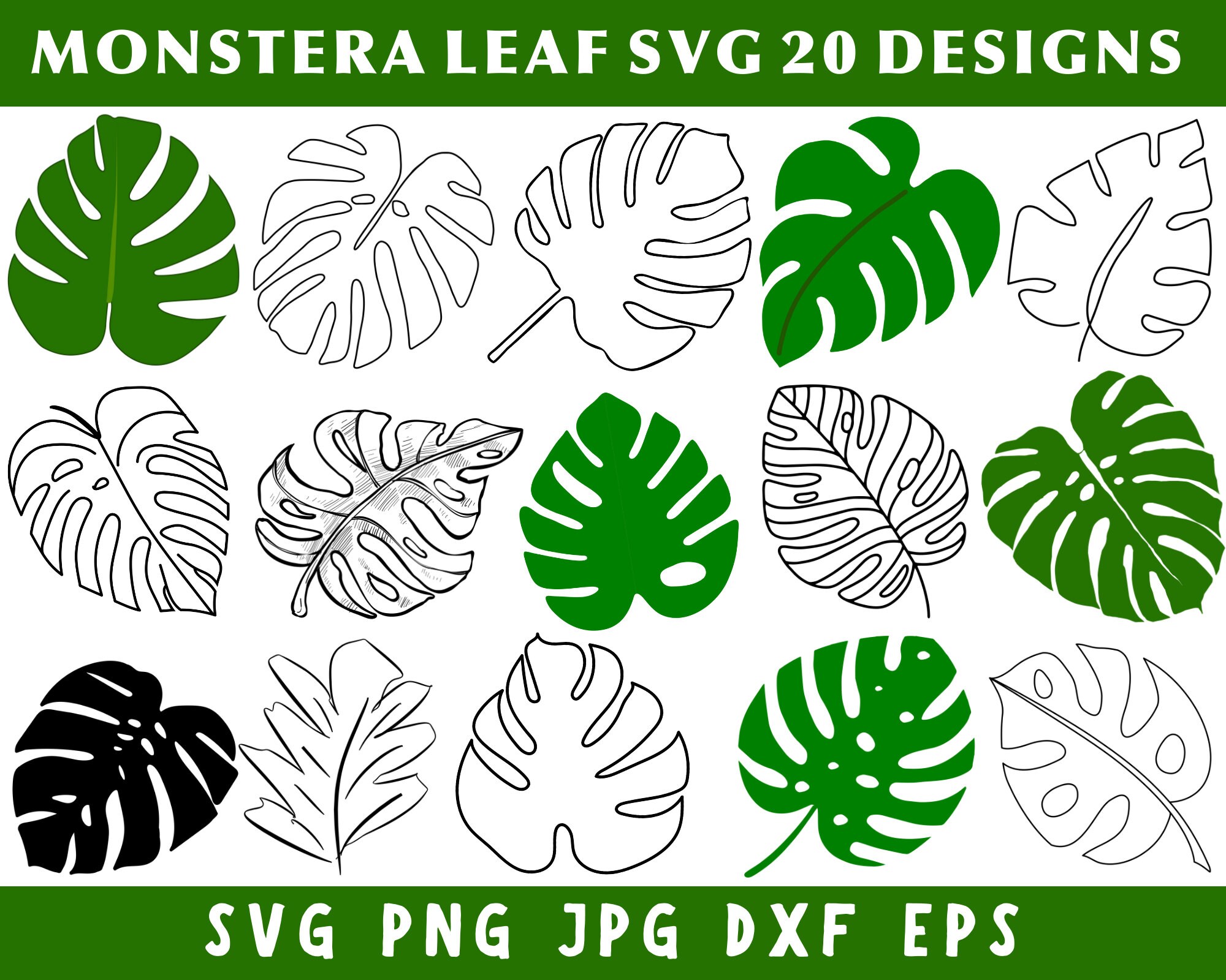Monstera Leaf Svg Bundle, Tropical Leaves Svg, Monstera Clipart, Jungle Leaves Svg, Leaves Svg ...
