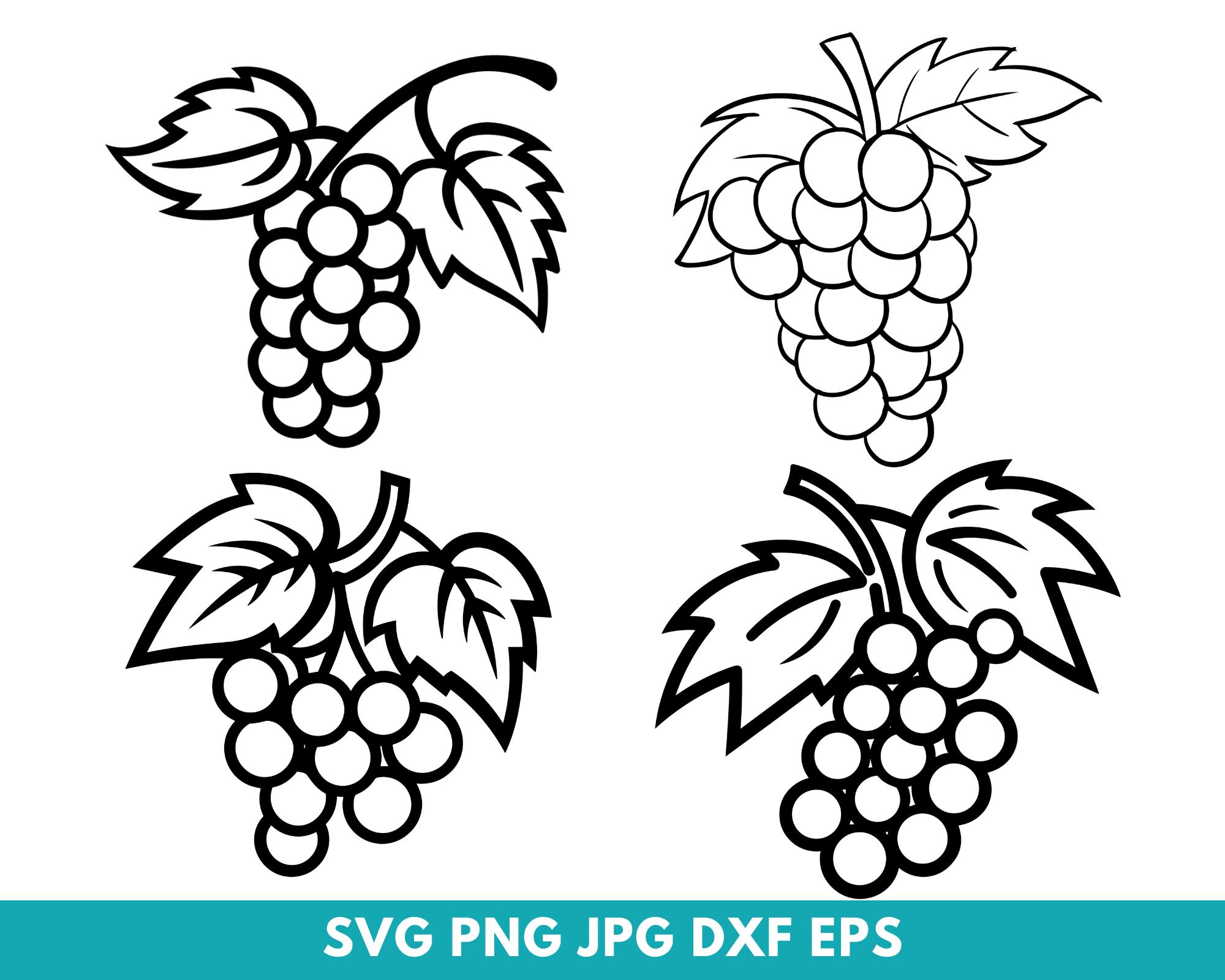 Grape Svg Bundle, Fruit Svg, Wine Grapes Svg, Grape Cricut, Grape ...