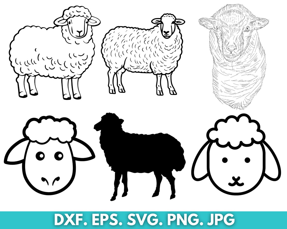 Sheep Svg Png Bundle, Sheep Png, Sheep Clipart, Animal Svg Bundle, Svg ...