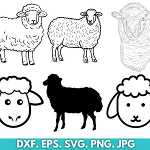 Sheep Svg Png Bundle, Sheep Png, Sheep Clipart, Animal Svg Bundle, Svg ...