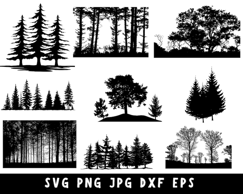 Forest Tree Svg Bundle, Tree Svg, Nature Svg, Forest Svg, Commercial ...