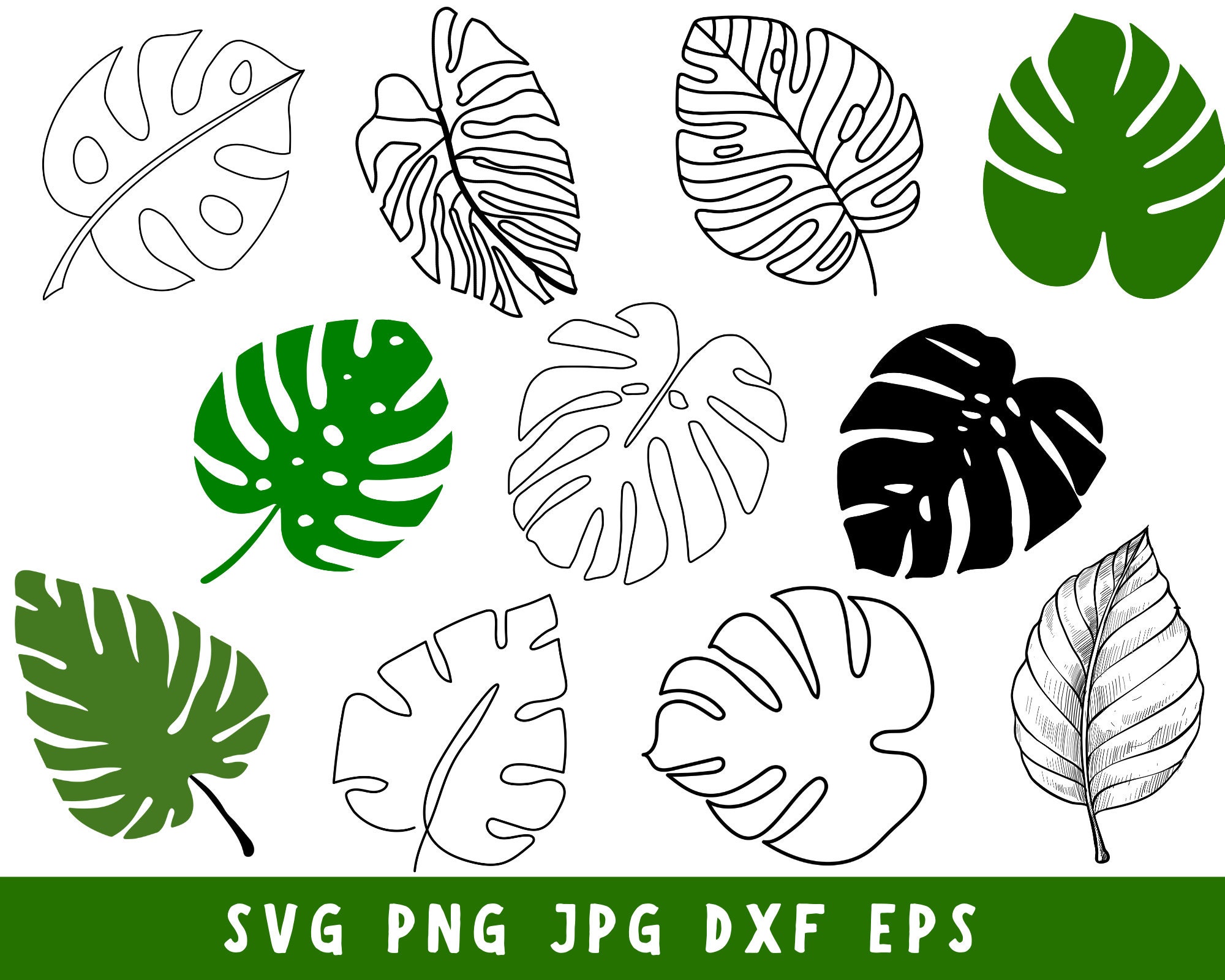 Monstera Leaf Svg Bundle Tropical Leaves Svg Monstera - Etsy