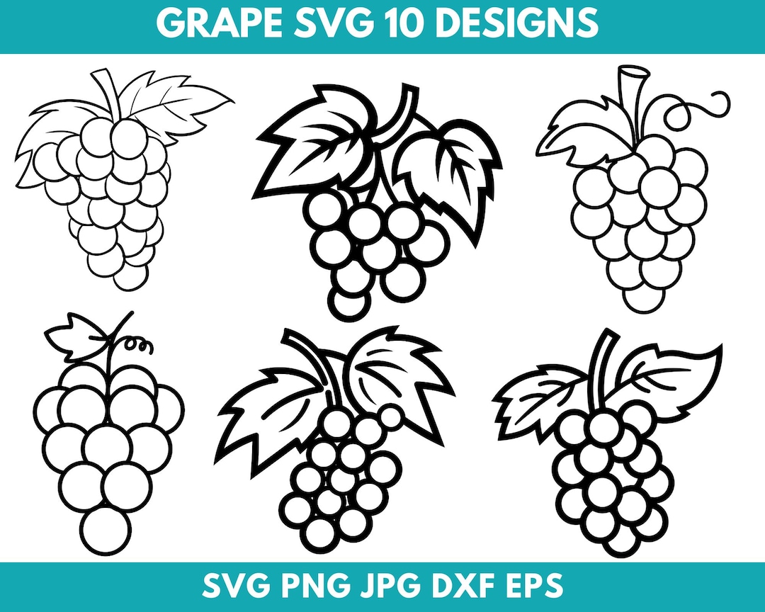Grape Svg Bundle, Fruit Svg, Wine Grapes Svg, Grape Cricut, Grape Vector, Grape Silhouette, Svg ...