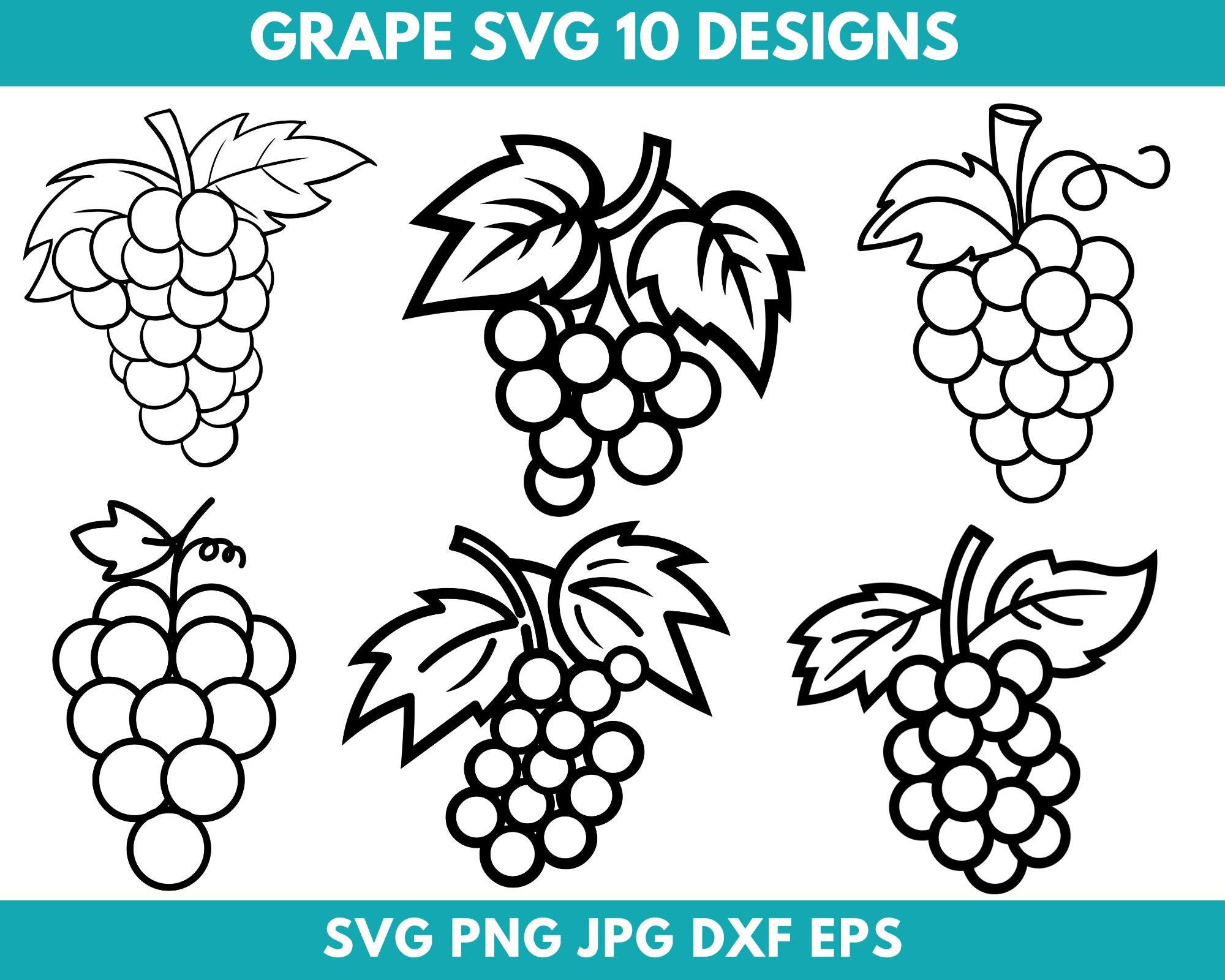 Grape Svg Bundle, Fruit Svg, Wine Grapes Svg, Grape Cricut, Grape ...