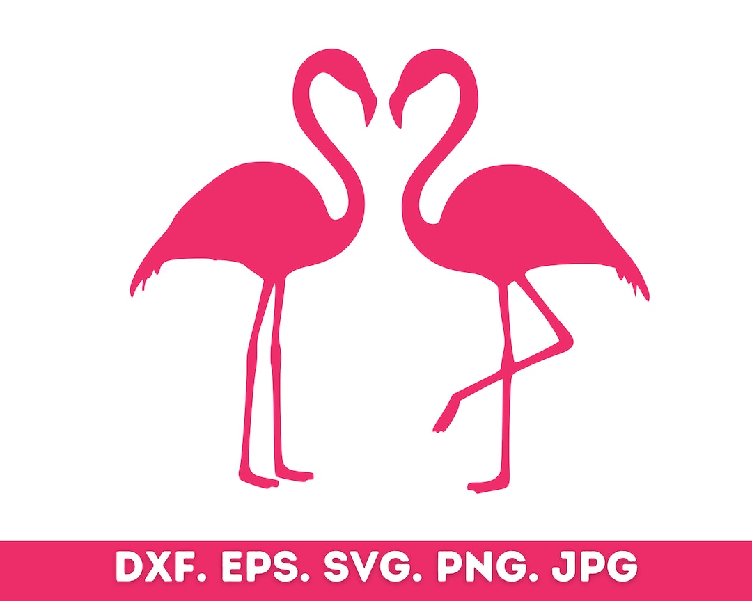 Flamingo Svg Bundle, Bird Svg, Flamingo Png, Flamingo Clipart, Flamingo ...