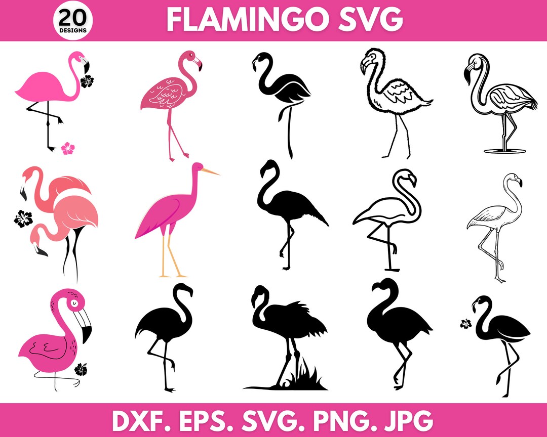 Flamingo Svg Png Bundle, Flamingo Clipart, Pink Flamingo Vector, Svg ...