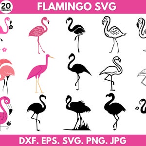 Flamingo Svg Png Bundle, Flamingo Clipart, Pink Flamingo Vector, Svg ...