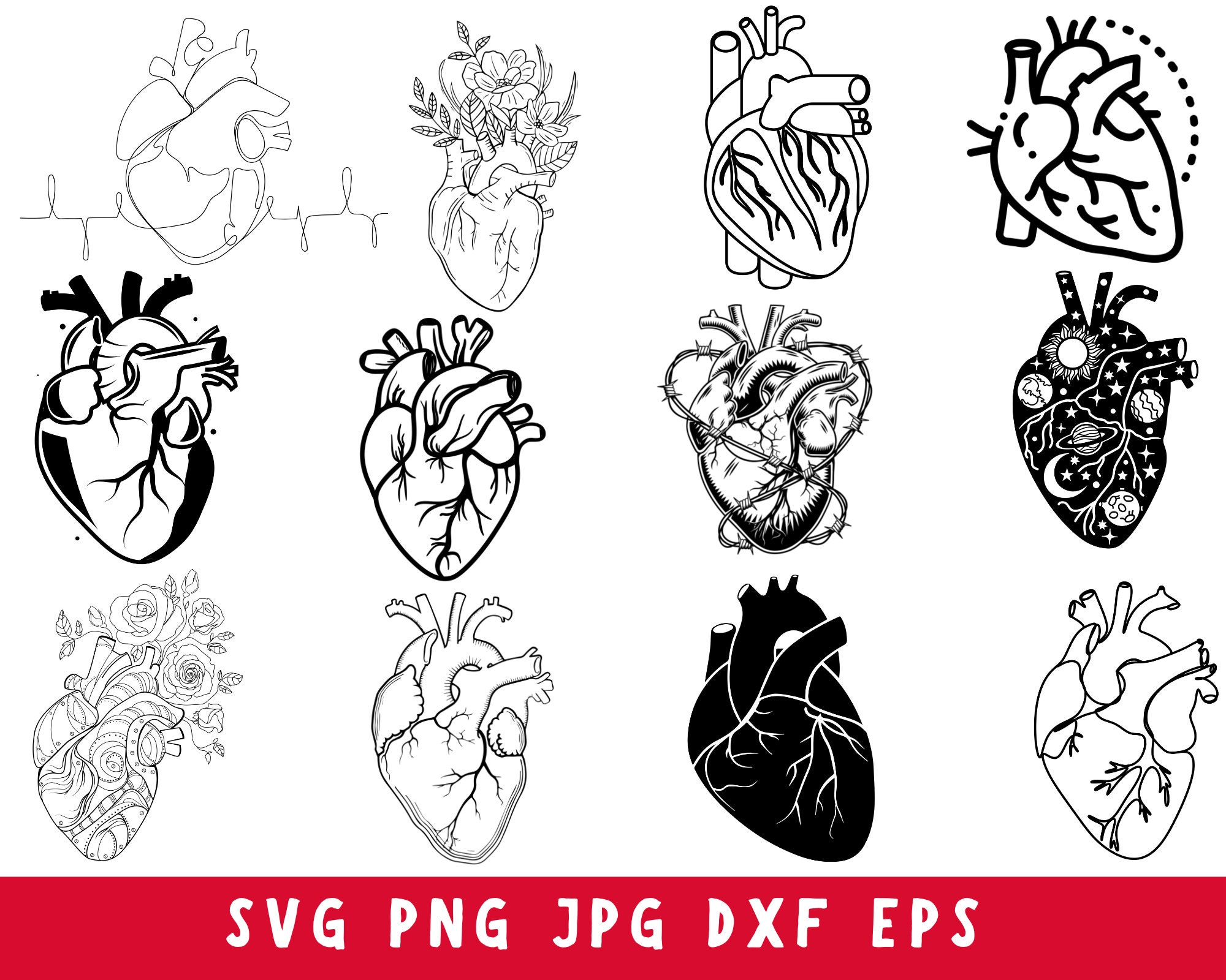 Anatomical Heart Svg Bundle, Human Heart Svg, Heart Svg, Anatomical ...