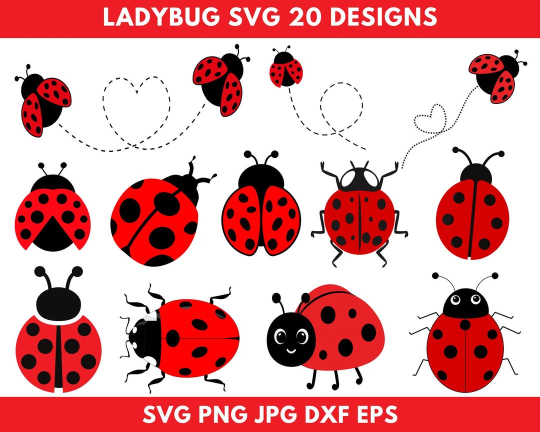 Ladybug Svg Bundle, Love Path Bug Svg, Ladybug Svg, Ladybug Png ...