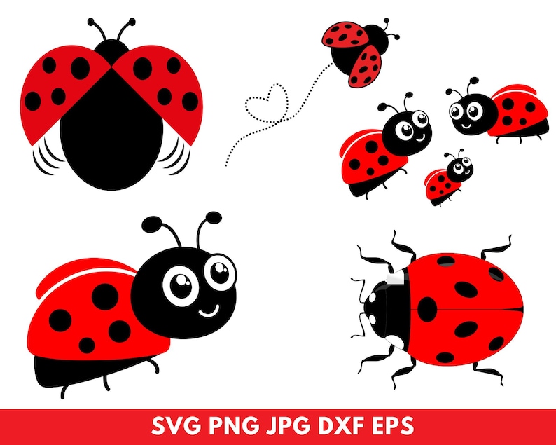 Ladybug Svg Bundle, Love Path Bug Svg, Ladybug Svg, Ladybug Png ...