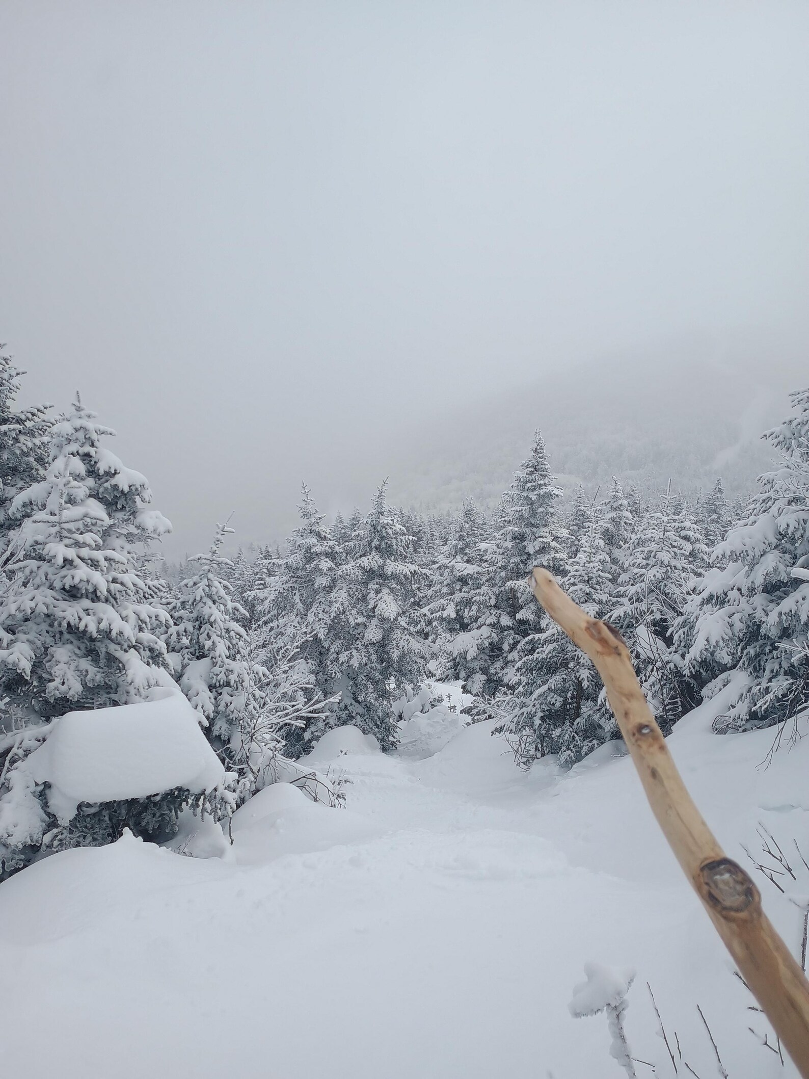 Lurk- Traditional Telemark Norway Ski Staff - Etsy