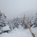 Lurk- Traditional Telemark Norway Ski Staff - Etsy
