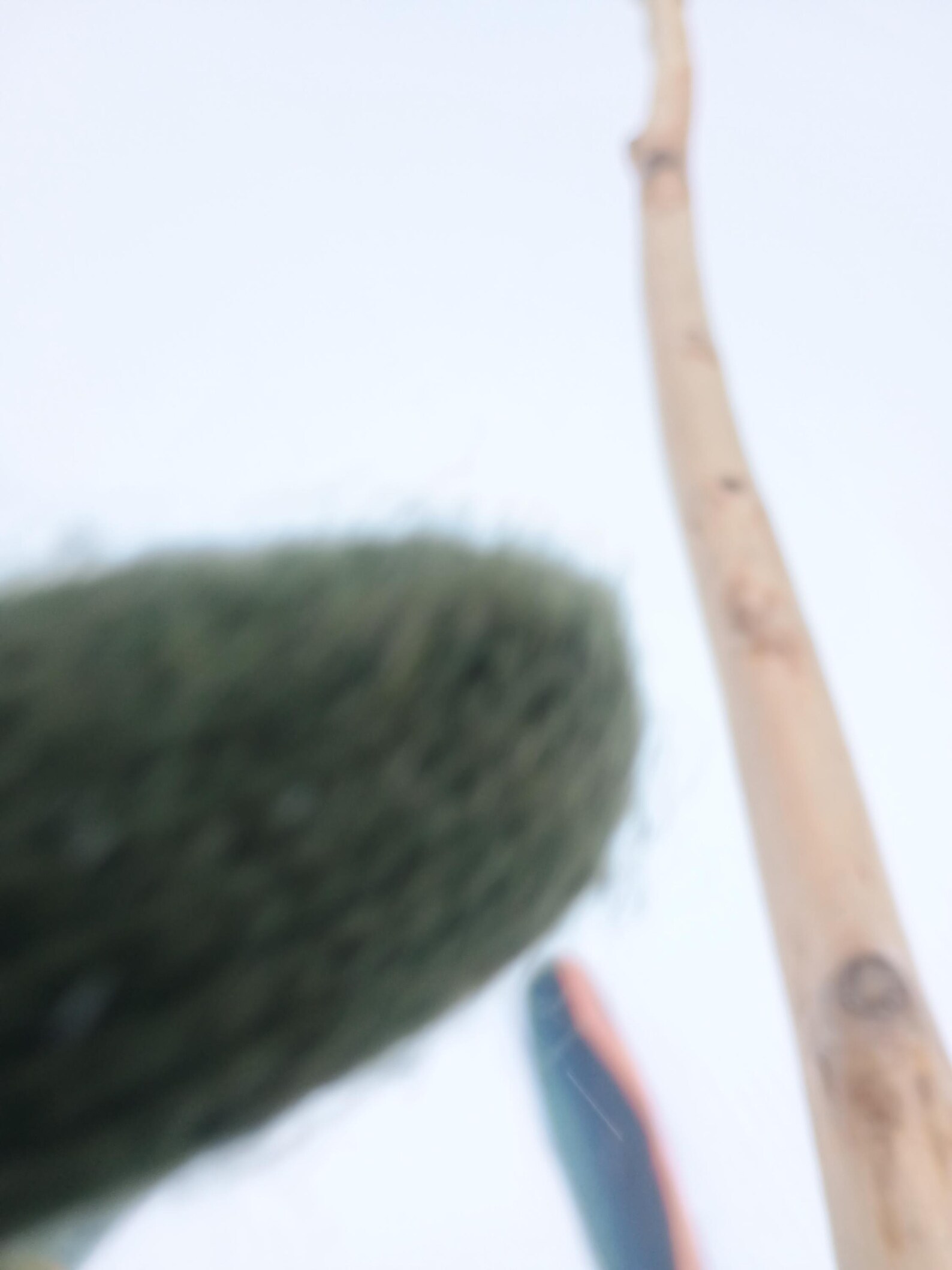 Lurk- Traditional Telemark Norway Ski Staff - Etsy