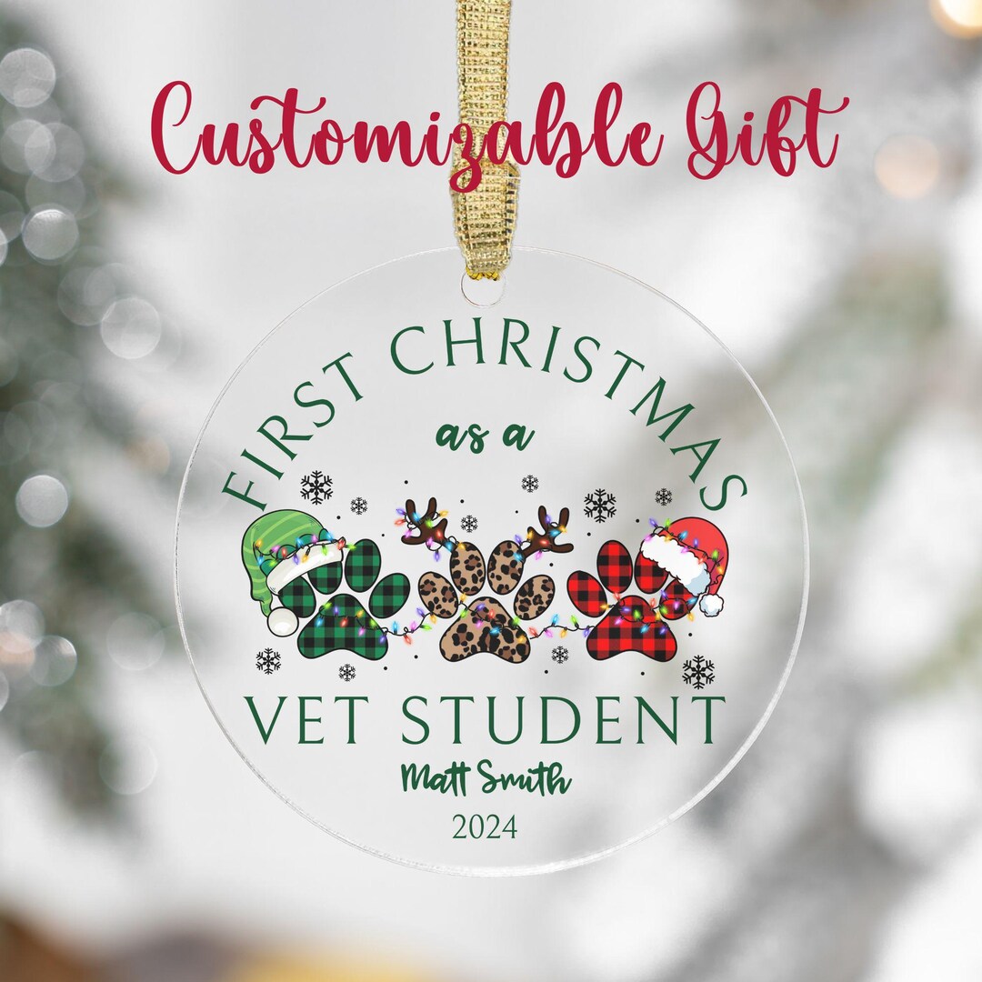 Vet Student Gift, Personalized Christmas Ornament for Vet Student ...