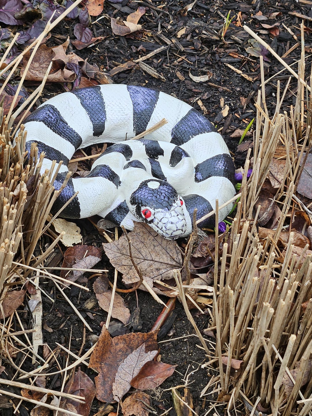 SNAKE Concrete Statue Realistic Coiled Snake, Home Garden Decor, Cement ...