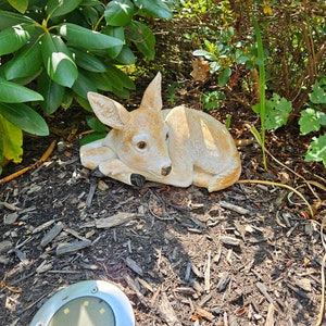 Exquisite Concrete Garden Fawn Deer Statue! Hand Cast and Hand Painted ...