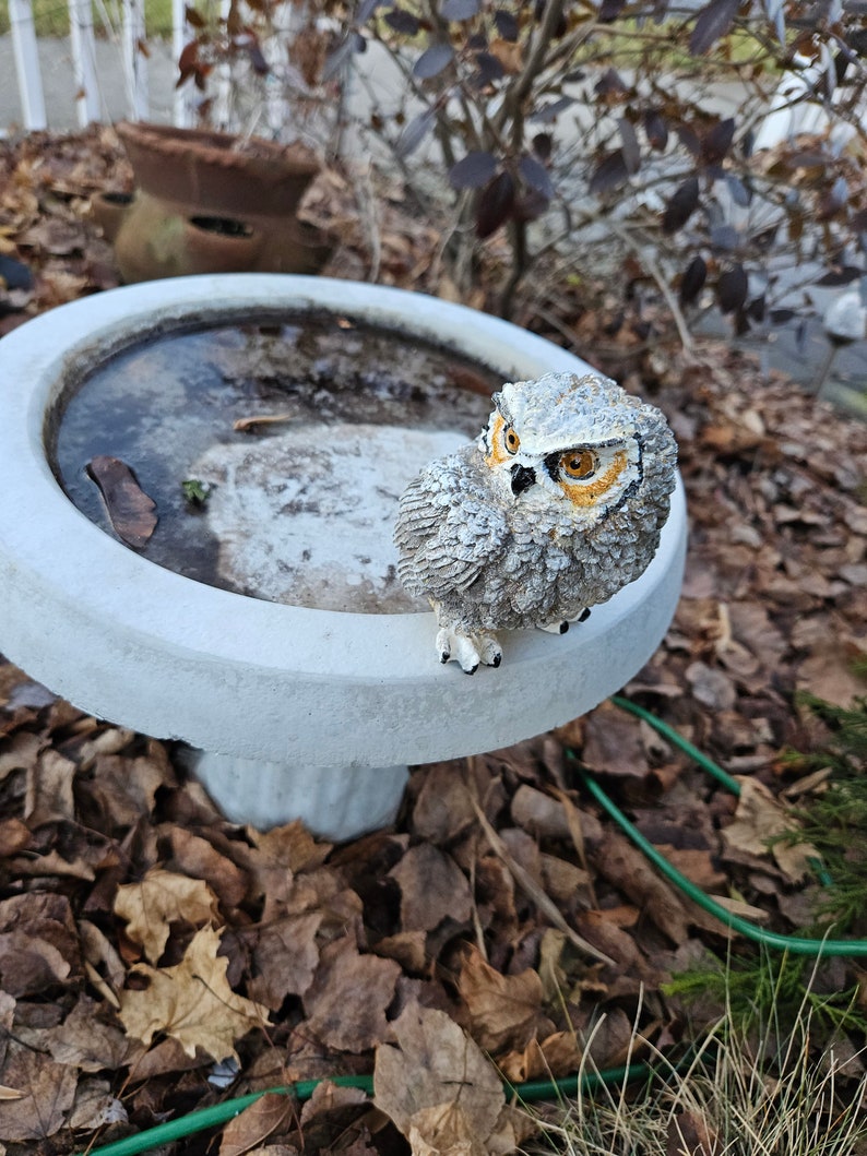 Realistic Owl Statue, Solid Concrete, Hand Cast and Hand-painted ...