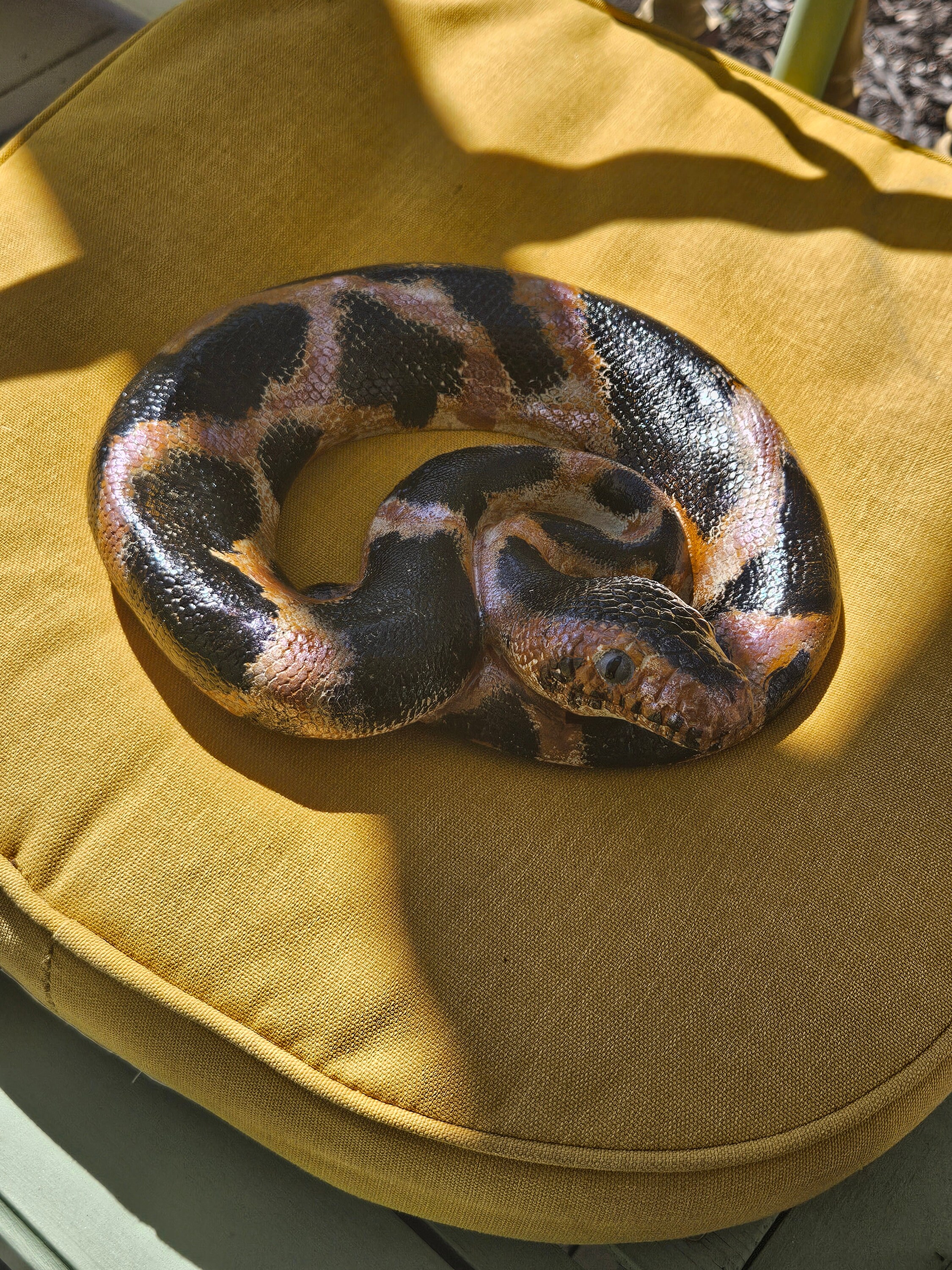 SNAKE Concrete Statue Realistic Hand Crafted, Home Garden Decor, Cement ...