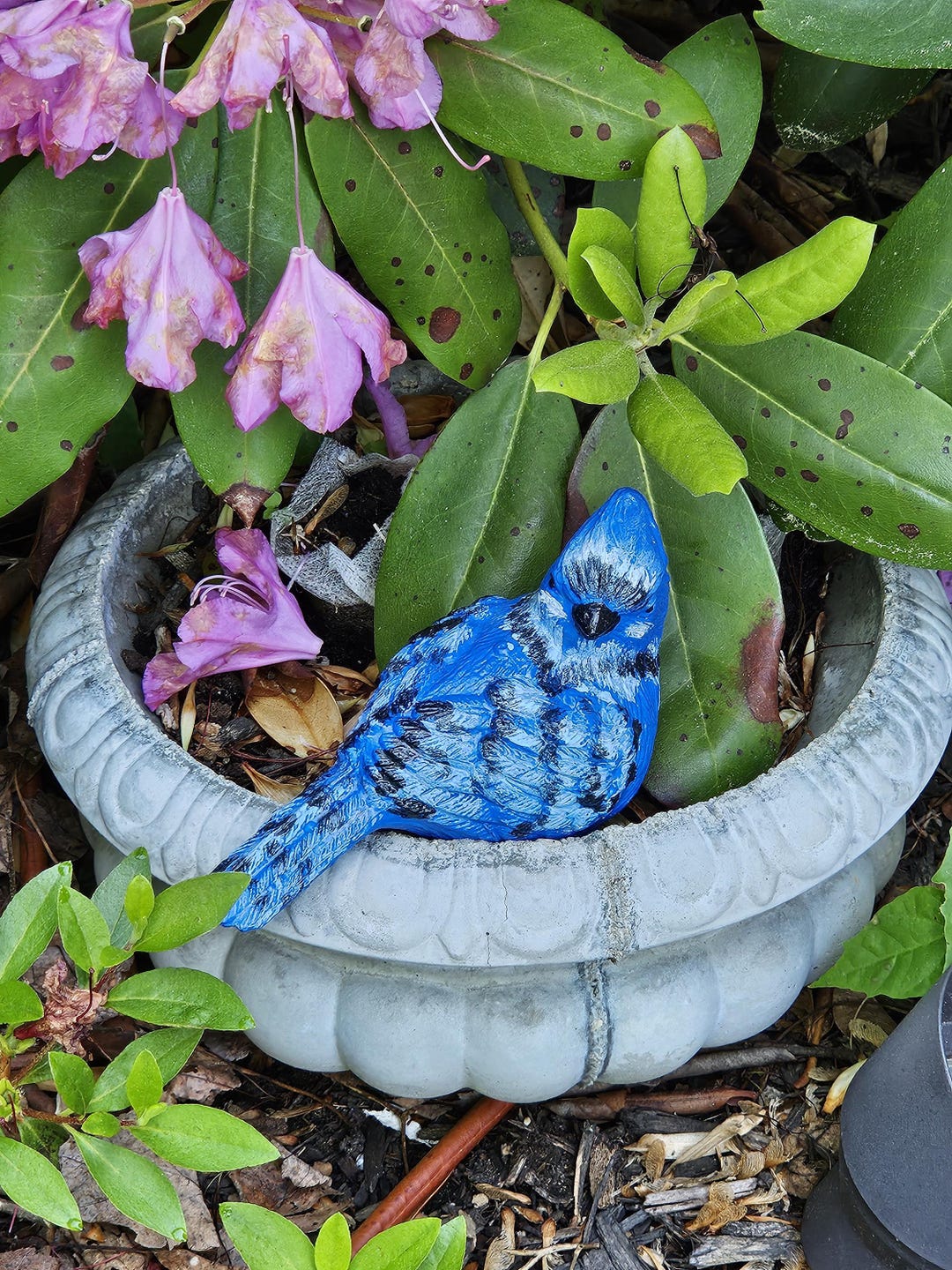 BLUE JAY CONCRETE Statue! Hand-painted and Hand Cast Concrete Cement ...