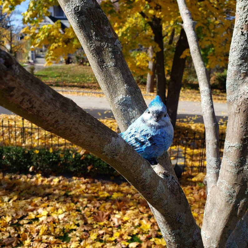 Hand-painted Concrete Blue Jay Statue: Indoor/outdoor Garden Decor - Etsy
