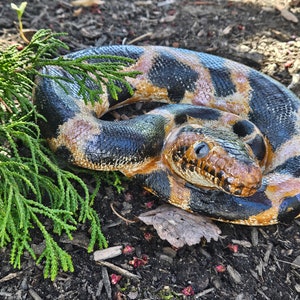 SNAKE Concrete Statue Realistic Hand Crafted, Home Garden Decor, Cement ...