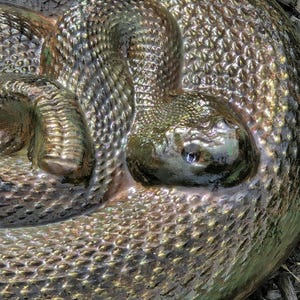 Yard SNAKE Concrete Statue Realistic Rattle Snake, Home Garden Decor ...