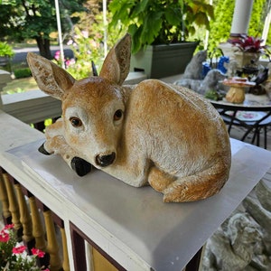 Exquisite Concrete Garden Fawn Deer Statue! Hand Cast and Hand Painted ...