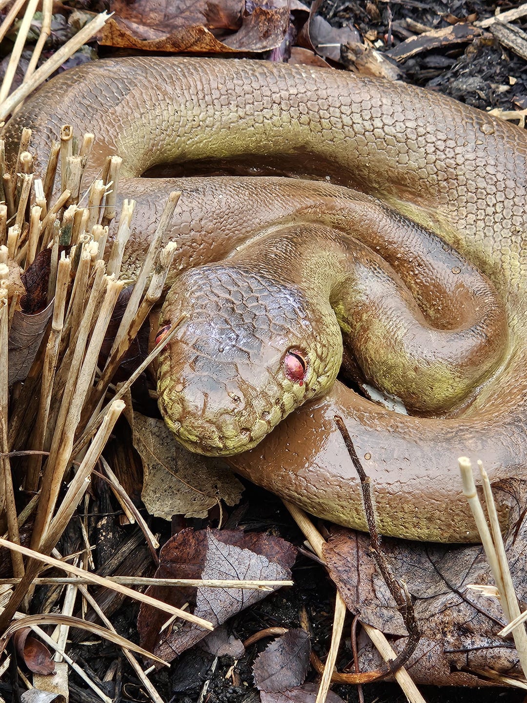 SNAKE Concrete Statue Realistic King Brown SNAKE Hand Crafted, Home ...