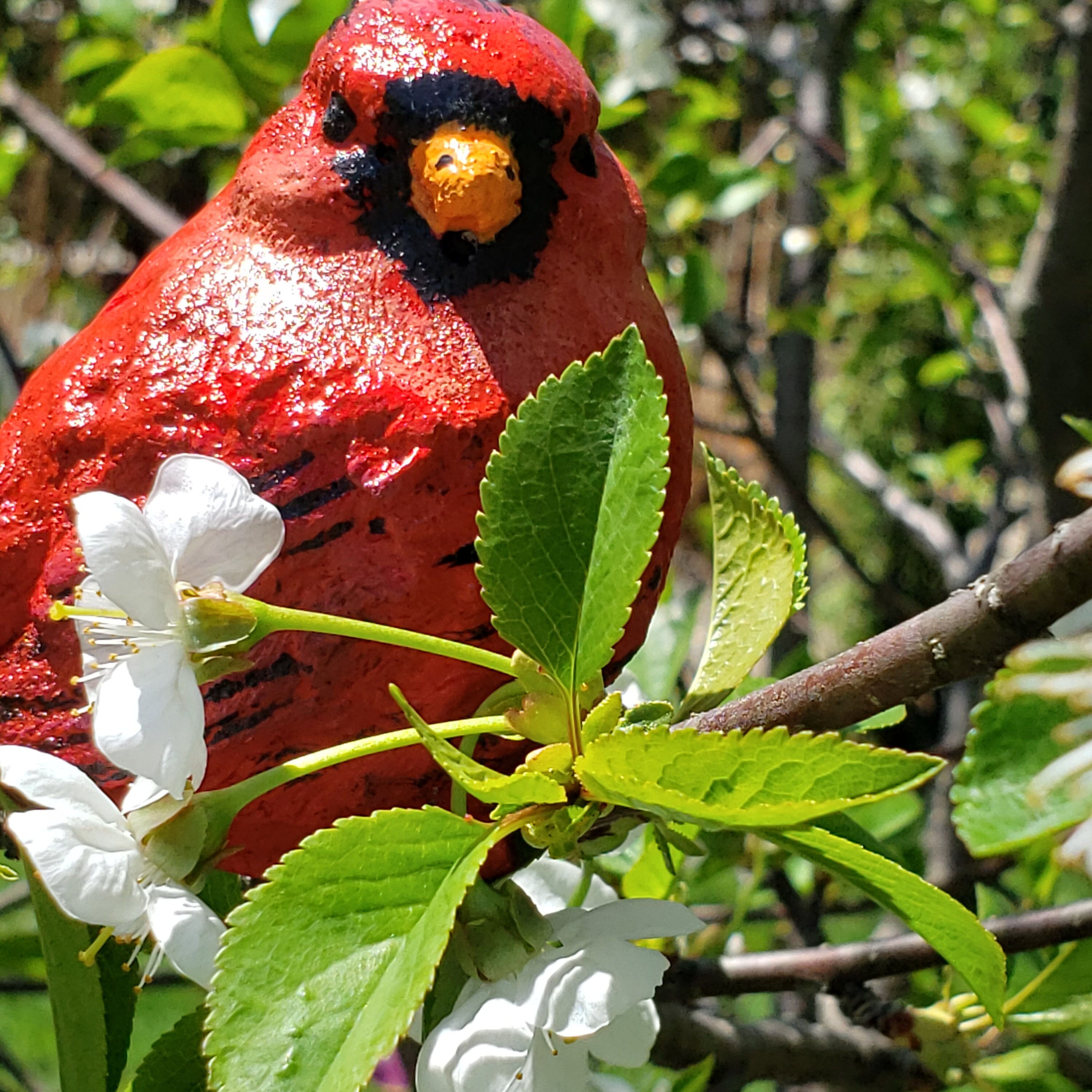 Hand-painted and Hand Cast Concrete Cement RED Cardinal Bird Statue ...