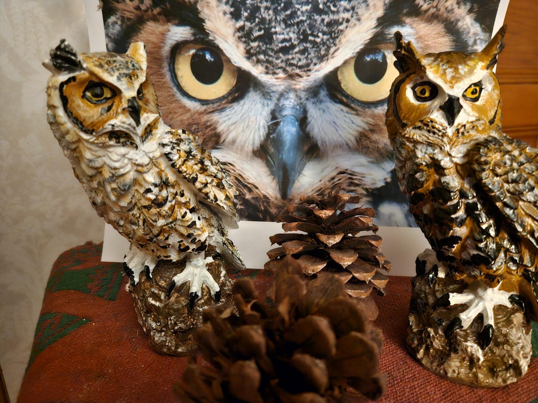 Realistic Owl Statue, Solid Concrete, Hand Cast and Hand-painted ...