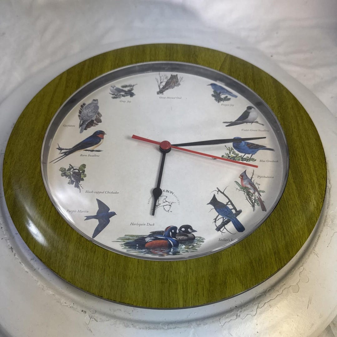 Audubon Round Wall Clock / Clock Works. This Clock Does Not Make Bird ...