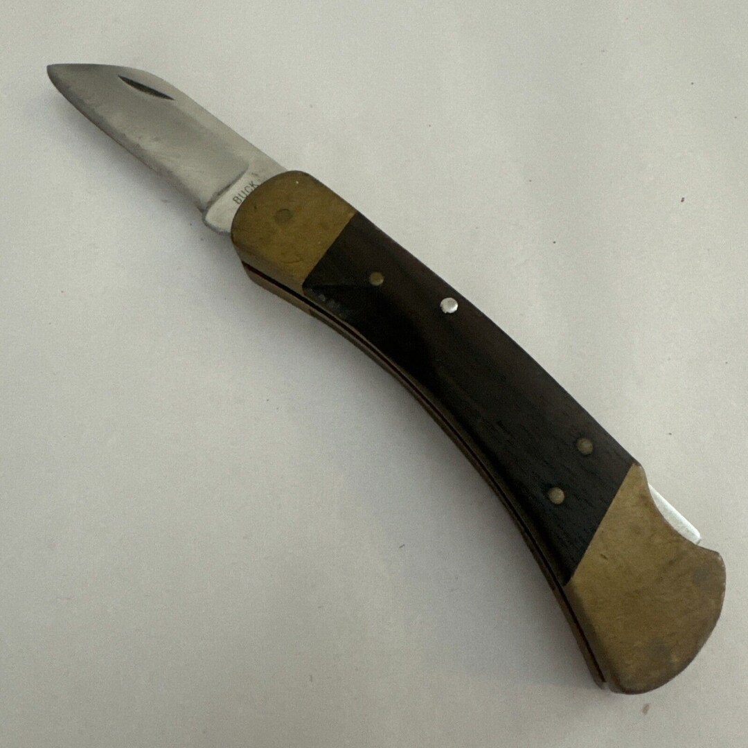 Vintage Buck 110 Lockback Hunters Knife 1974-80 USA 2 Dot Well Worn ...