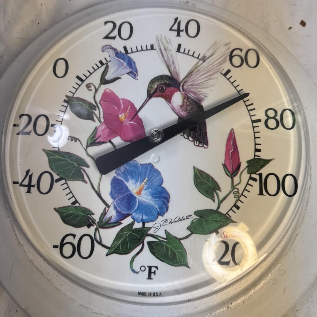 Sunbeam Thermometer Hummingbird Flowers Deck Patio Wall Hanging 12 in ...