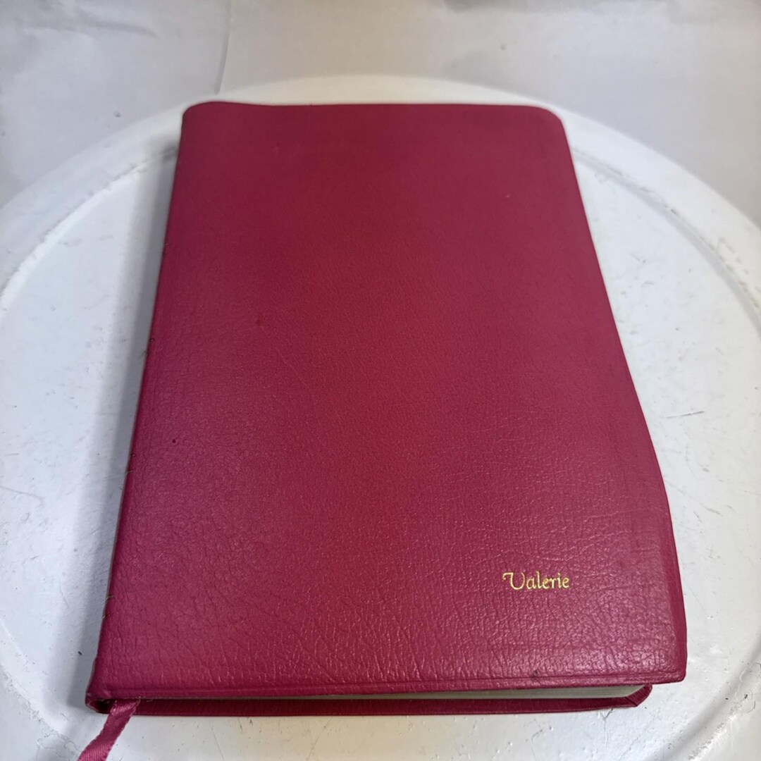 The Student Bible NIV Zondervan Thumb Index Pink New International ...