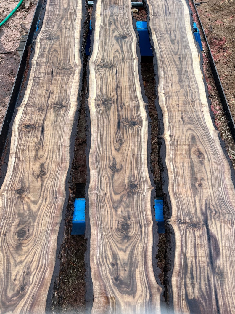 American Black Walnut Slabs - Wide Variety of Thicknesses, Widths, and ...