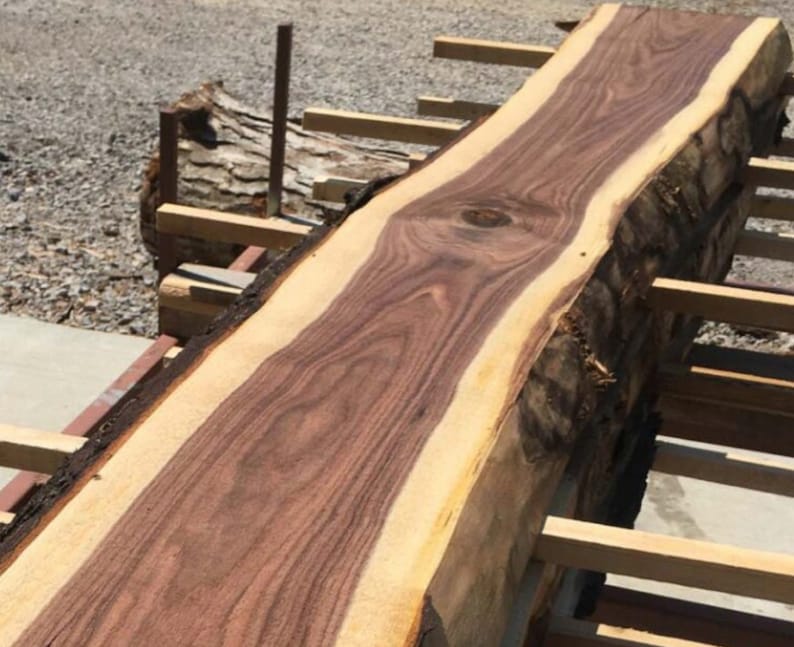 American Black Walnut Slabs - Wide Variety of Thicknesses, Widths, and ...