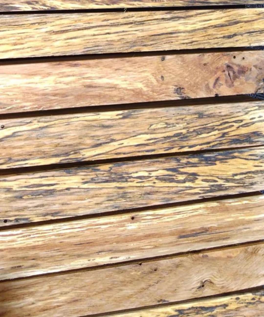 Spalted Texas Pecan Boards - Various Sizes Available - High-grade ...