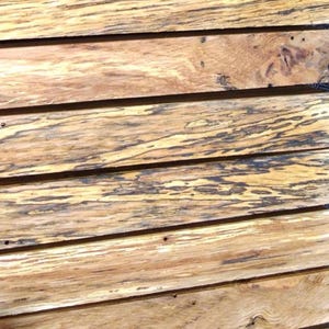 Spalted Texas Pecan Boards - Various Sizes Available - High-grade ...