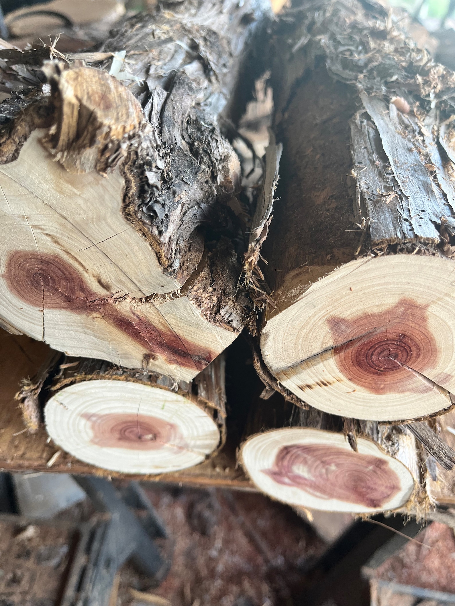 Two (2) Large Aromatic Cedar Turning Blanks (eastern Red Cedar ...