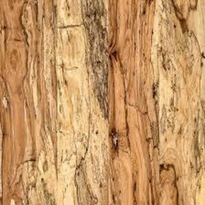 Spalted Texas Pecan Boards - Various Sizes Available - High-grade ...