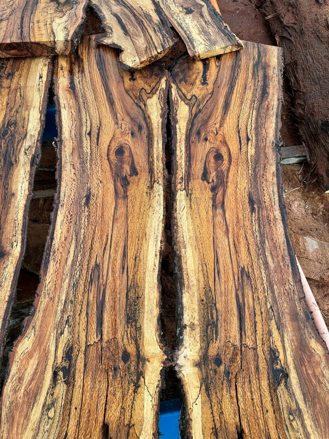 Blackjack Oak Slabs - Variety of Thicknesses, Widths, and Lengths ...