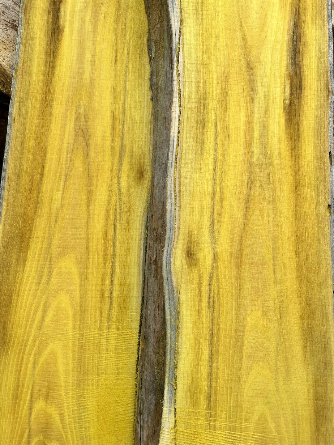 Bois D’arc (osage Orange) Slabs - 1.5” Thick - Kiln Dried - Select ...