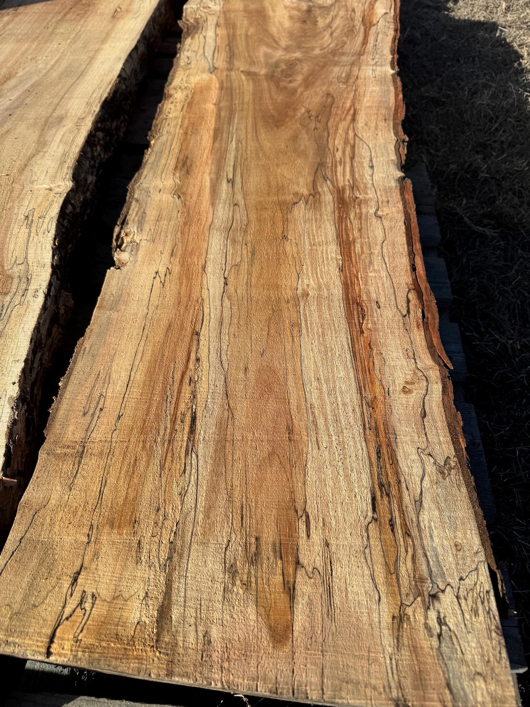 Spalted Maple Slabs - Various Thicknesses, Widths, and Lengths - Kiln ...