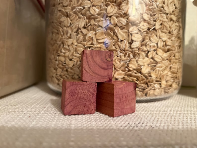 Aromatic Texas Red Cedar Wood Blocks for Clothes Storage Natural Moth ...