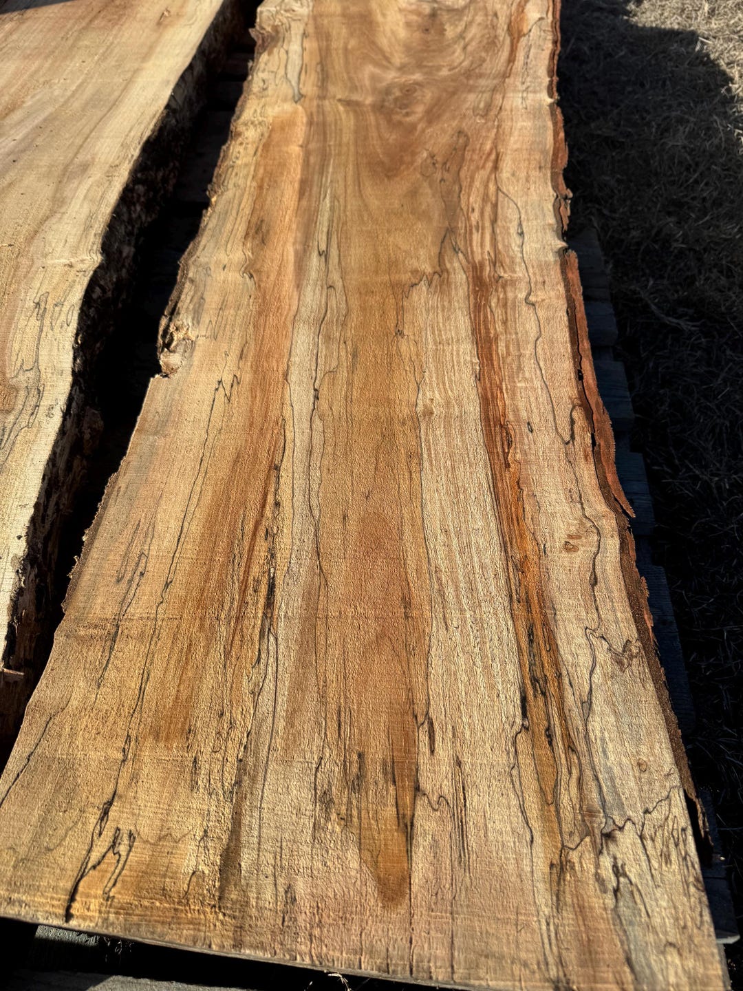 Spalted Maple Boards - Various Thicknesses, Widths, and Lengths - High ...
