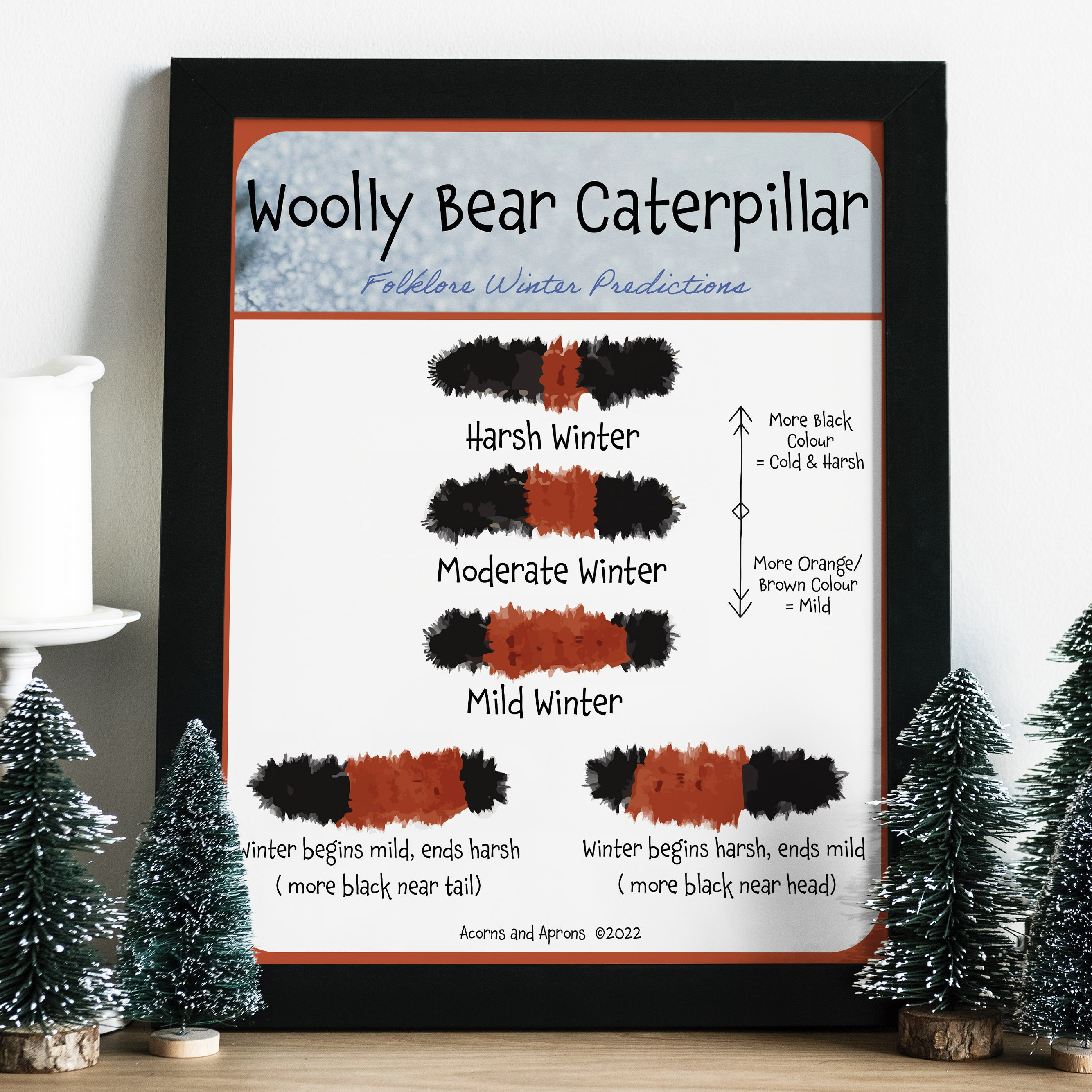 Woolly Bear Folklore Winter Predictions - Etsy
