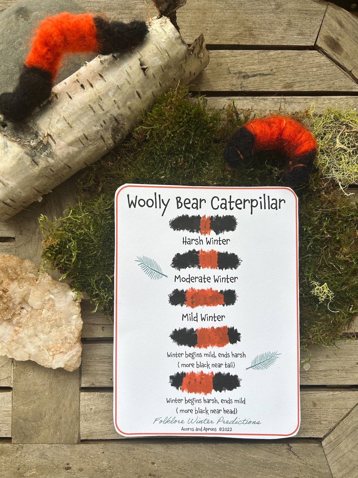 Woolly Bear Folklore Winter Predictions - Etsy